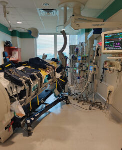 A Story of Survival: How Prone Positioning Saved Crystal’s Life - ARDS ...